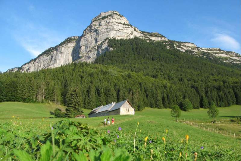 Rando Balnéo Alpes : Chartreuse Heureuse - Nomade Aventure
