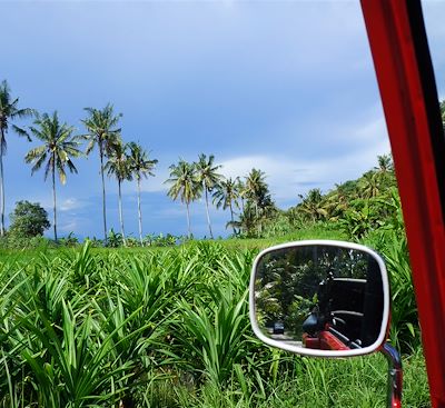 Bali en voiture : Bali, Beach, Bebek & Java - Nomade Aventure